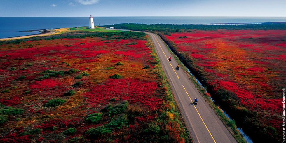 Acadie - 55ème Festival Interceltique de Lorient